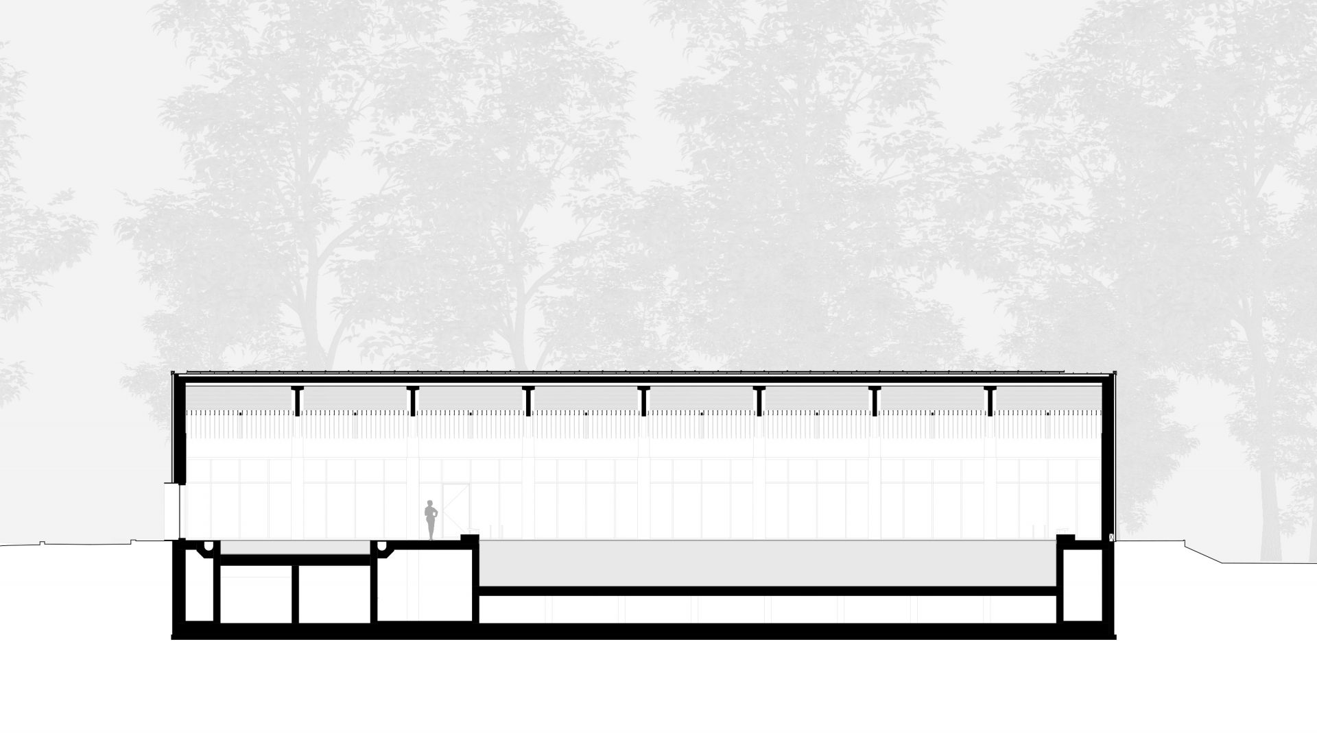 Swimming pool - BuildEXT