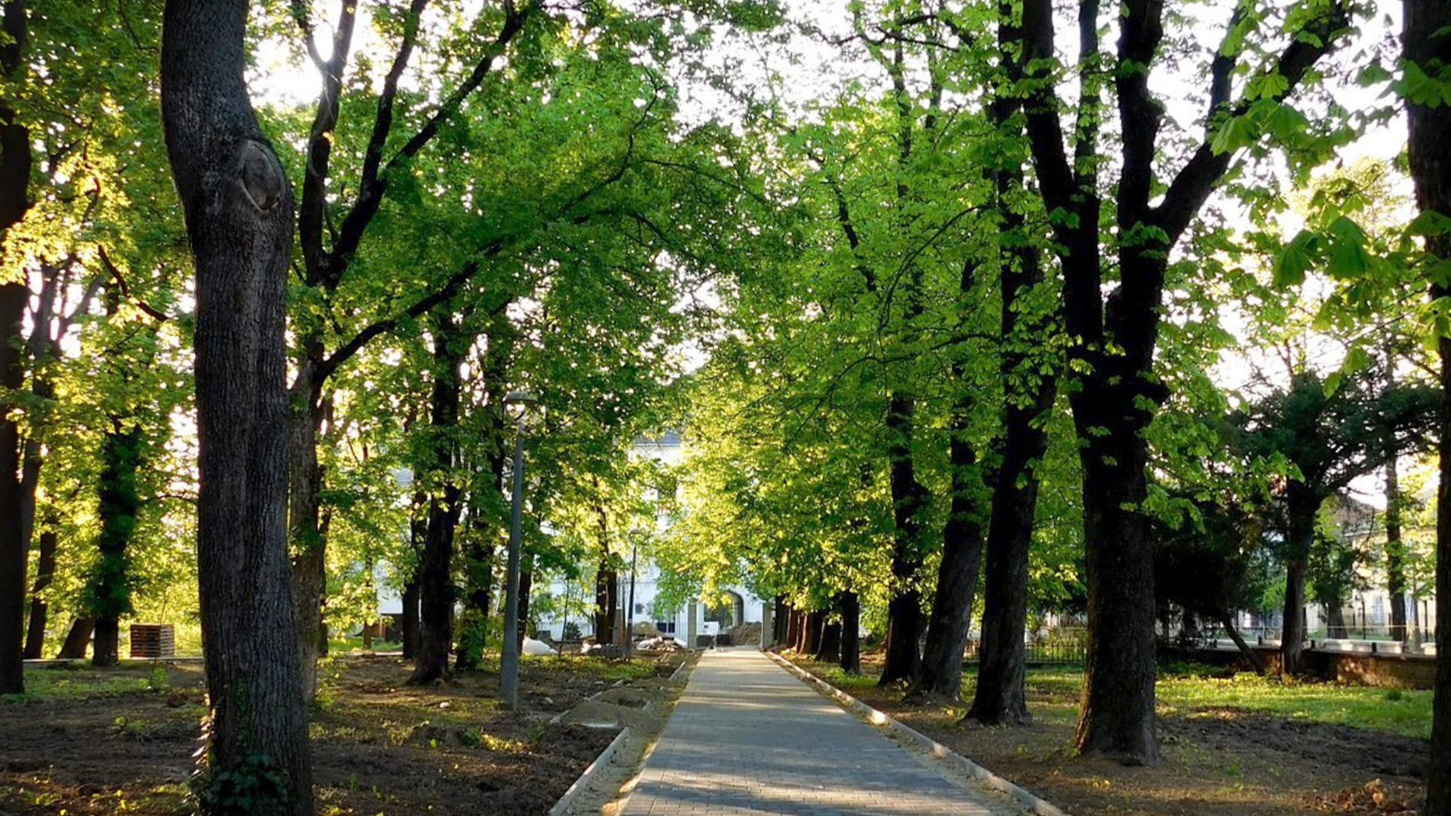 Swimming pool - BuildEXT